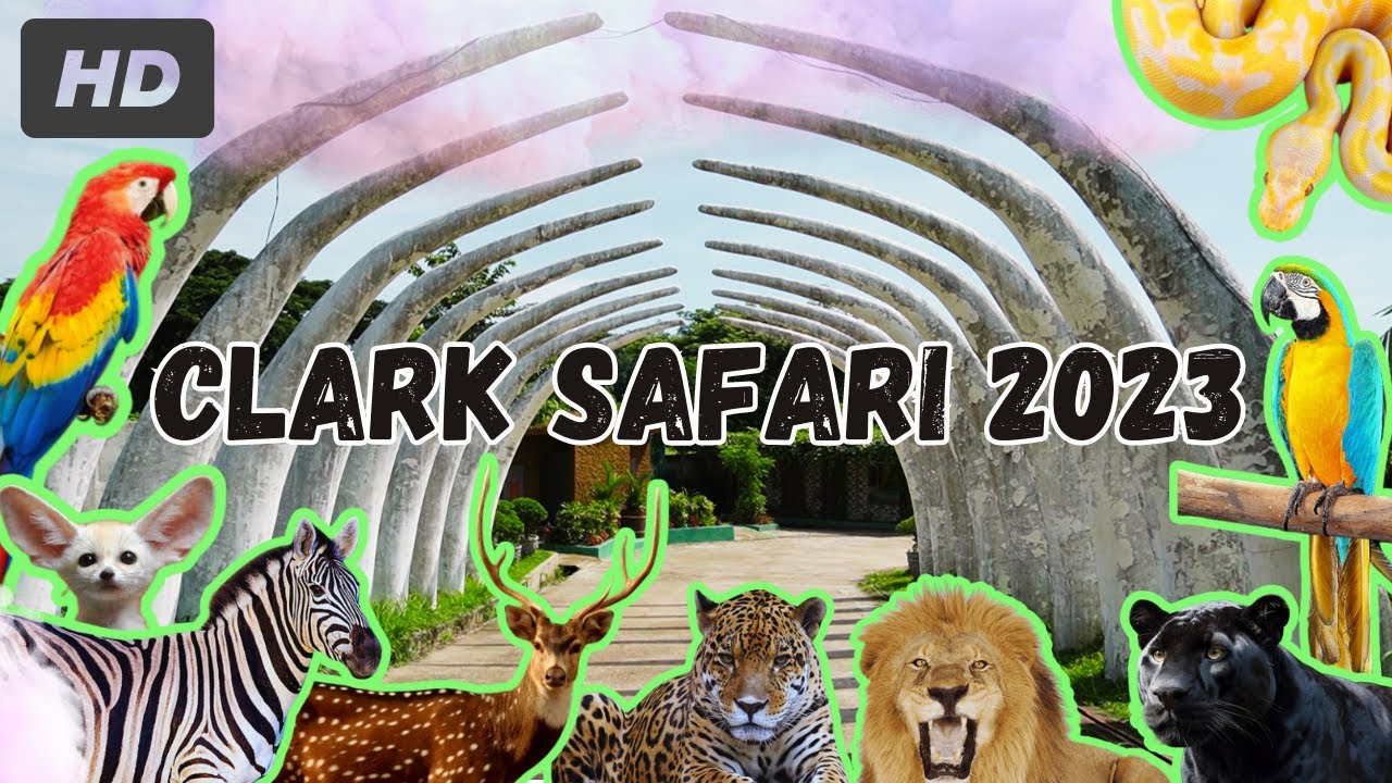 FULL HD TOUR - CLARK SAFARI PAMPANGA 2023 - MAY NAKAWALA? - YouTube