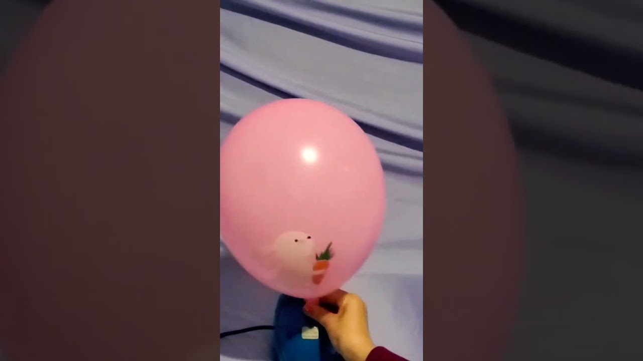 EASTER BUNNY BALLOON INFLATION!!! - YouTube