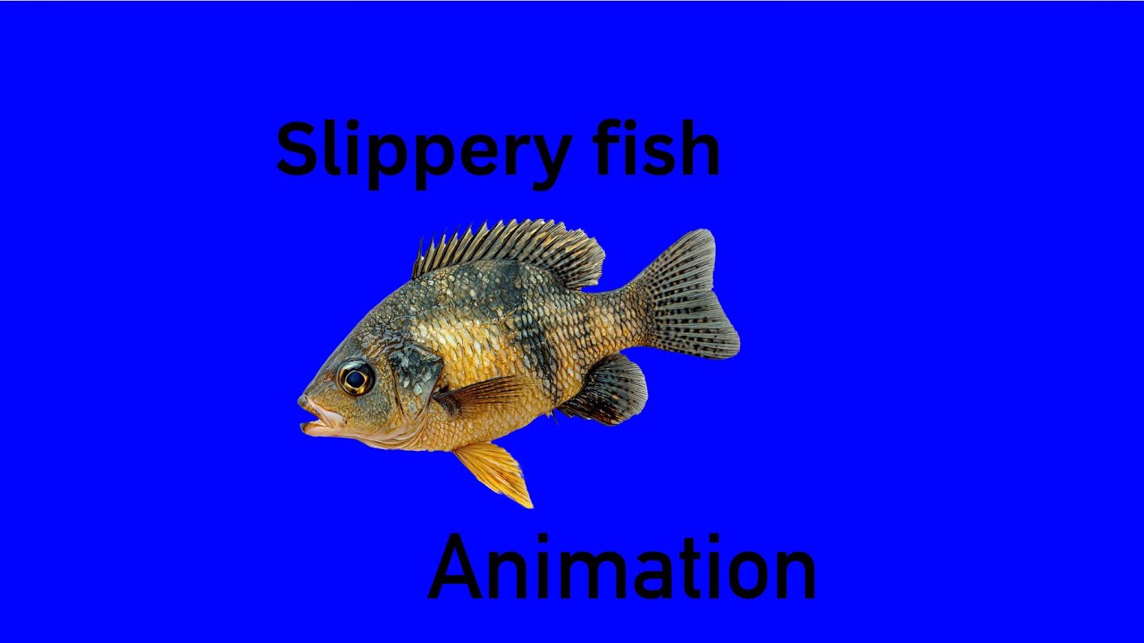 Slippery fish animation - YouTube