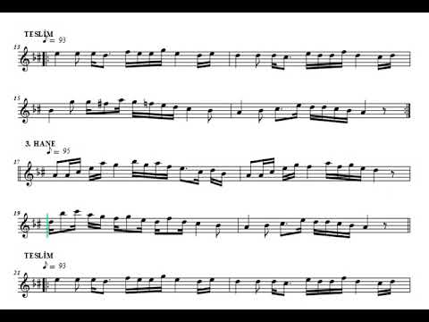 Hicaz Saz Semaisi (Garip) - Göksel Baktagir - Nota Eşliğinde İcrâ (Karar: Bolahenk Neyi - E)