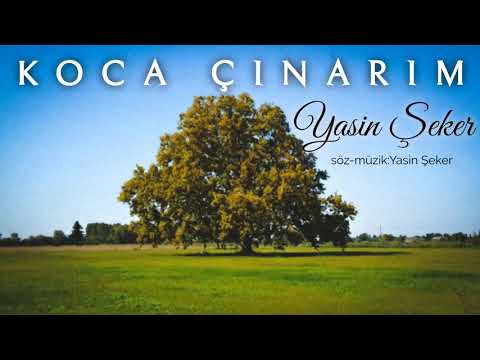 Yasin Şeker - Koca Çınarım