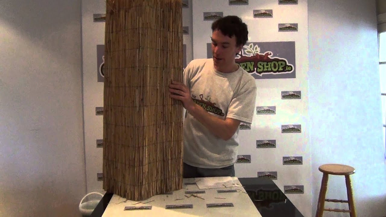 Reed Screening - YouTube