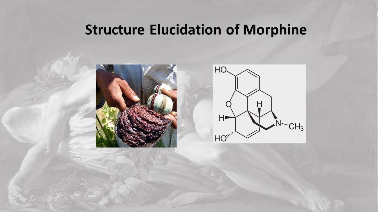morphine structure elucidation - YouTube