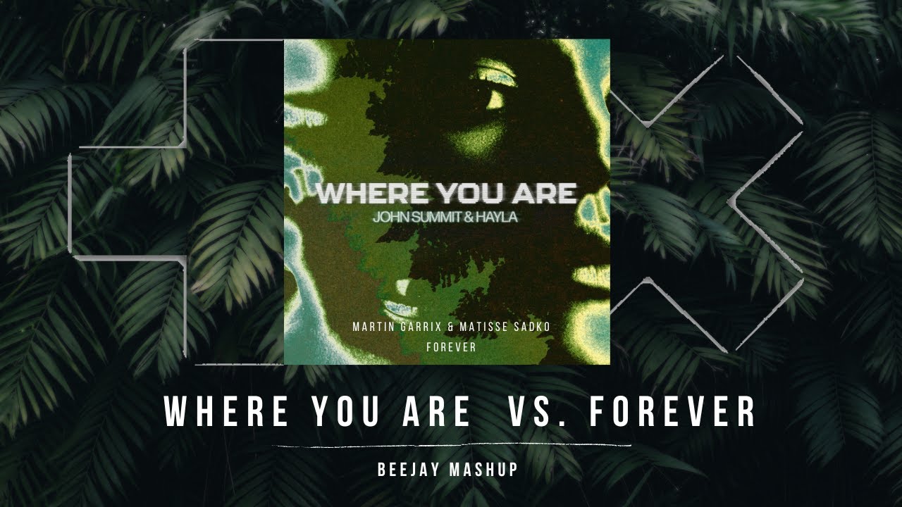 John Summit - Where You Are X Martin Garrix - Forever (French Sisters ...