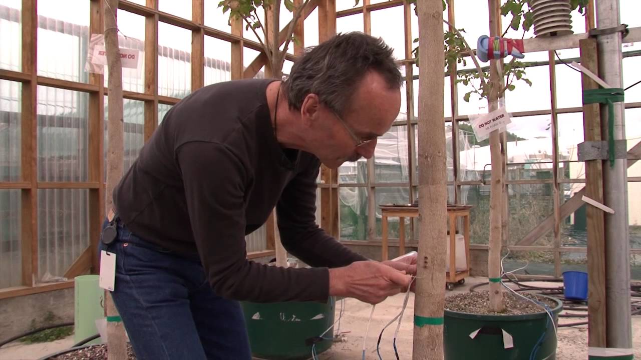 Plant & Food Research's Dr Brent Clothier - YouTube