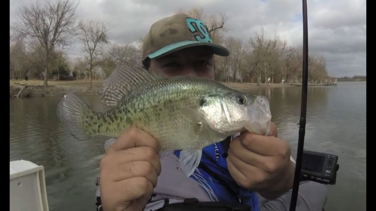 Crappie Surprise (DROP SHOT FAIL) - YouTube