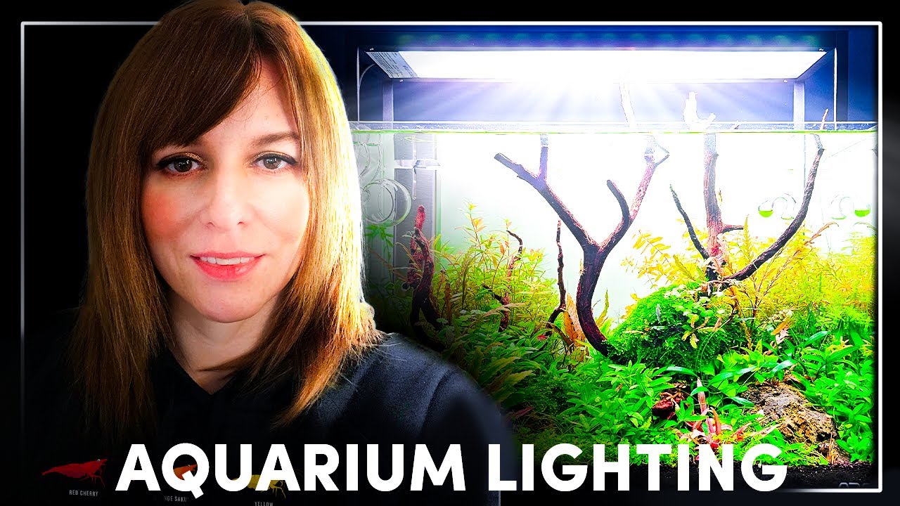 Understanding Aquarium Lighting - PAR, Spectrum and Balance - YouTube