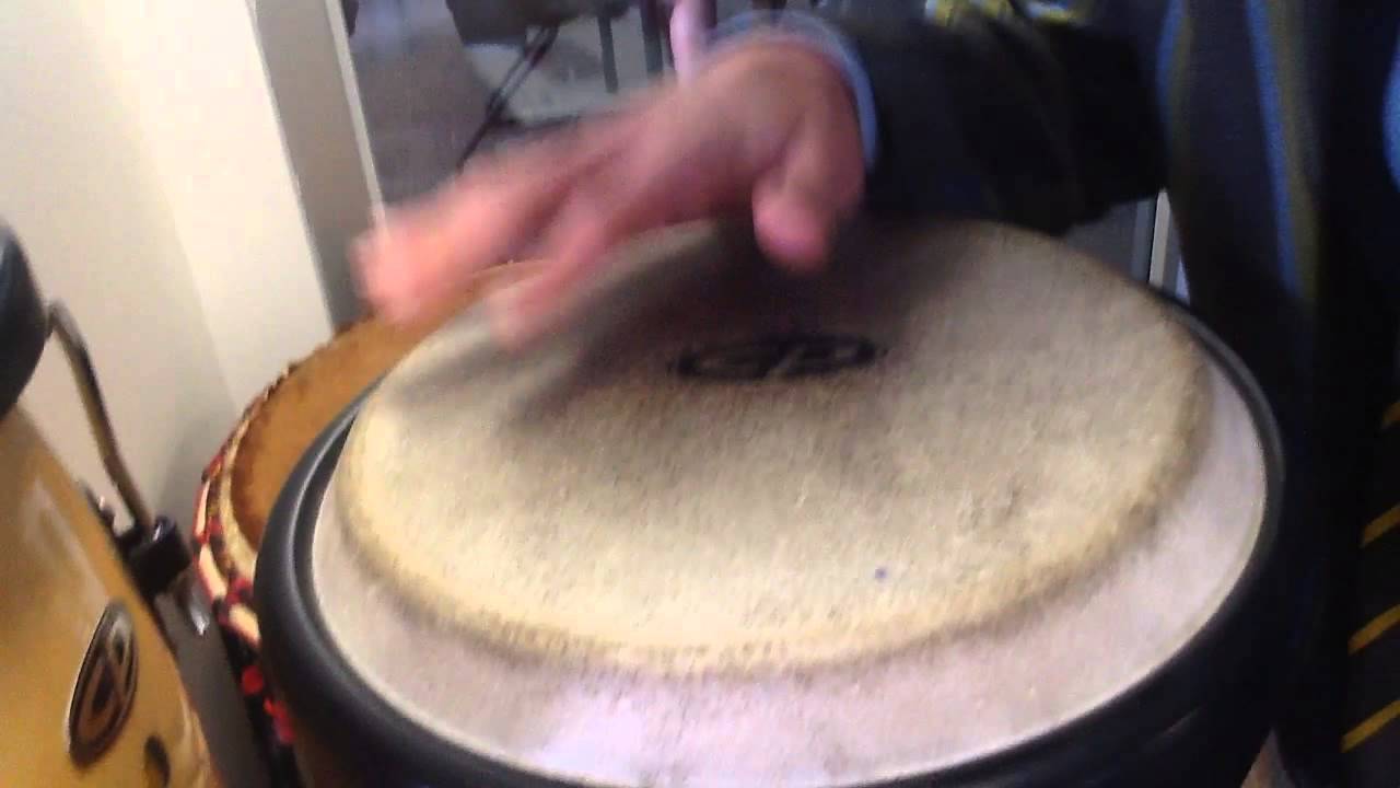 Drongo on a bongo - YouTube