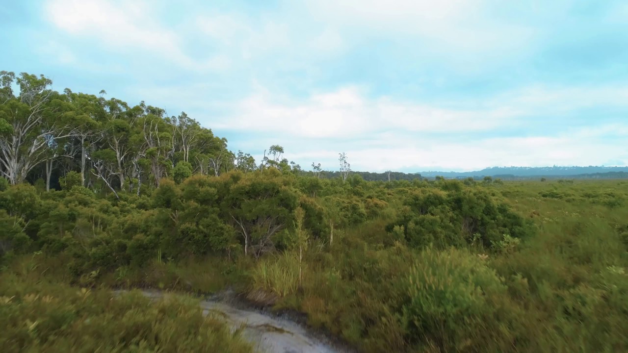 Mooloolah National Park - YouTube