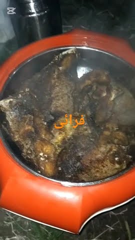 Farman khojari Dambra and gulfam fish - YouTube