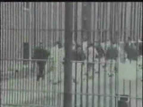 INN WORLD REPORT-Cinda Firestone Fox PT. 2 - YouTube