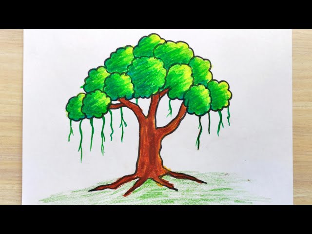 Banyan Tree Drawing For Kids