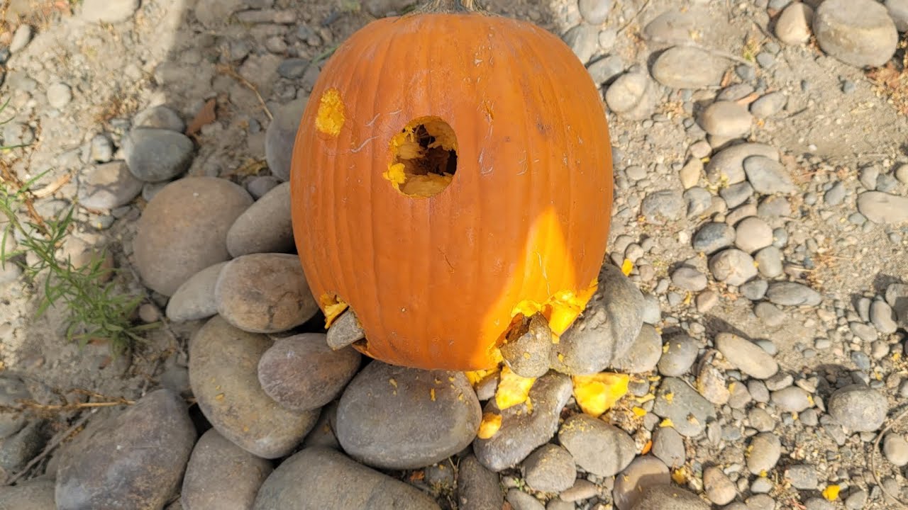 Halloween|2023 Pumpkin Challenge at 20 Meters - YouTube