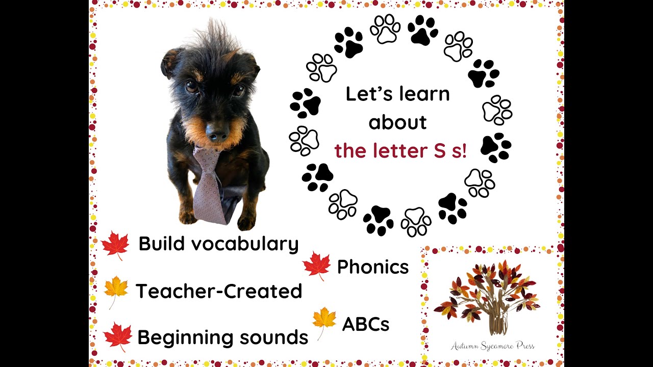 Learn the letter S s-Cute dogs teach letters and words- Build ...