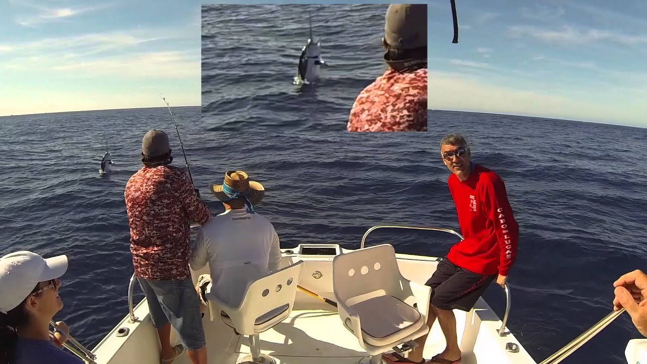 Deep Sea Fishing in Los Cabos, Mexico (2016) - YouTube