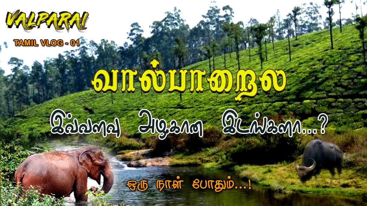 Valparai - Natural Adventure Trip | One Day Trip with Travel Discovery ...