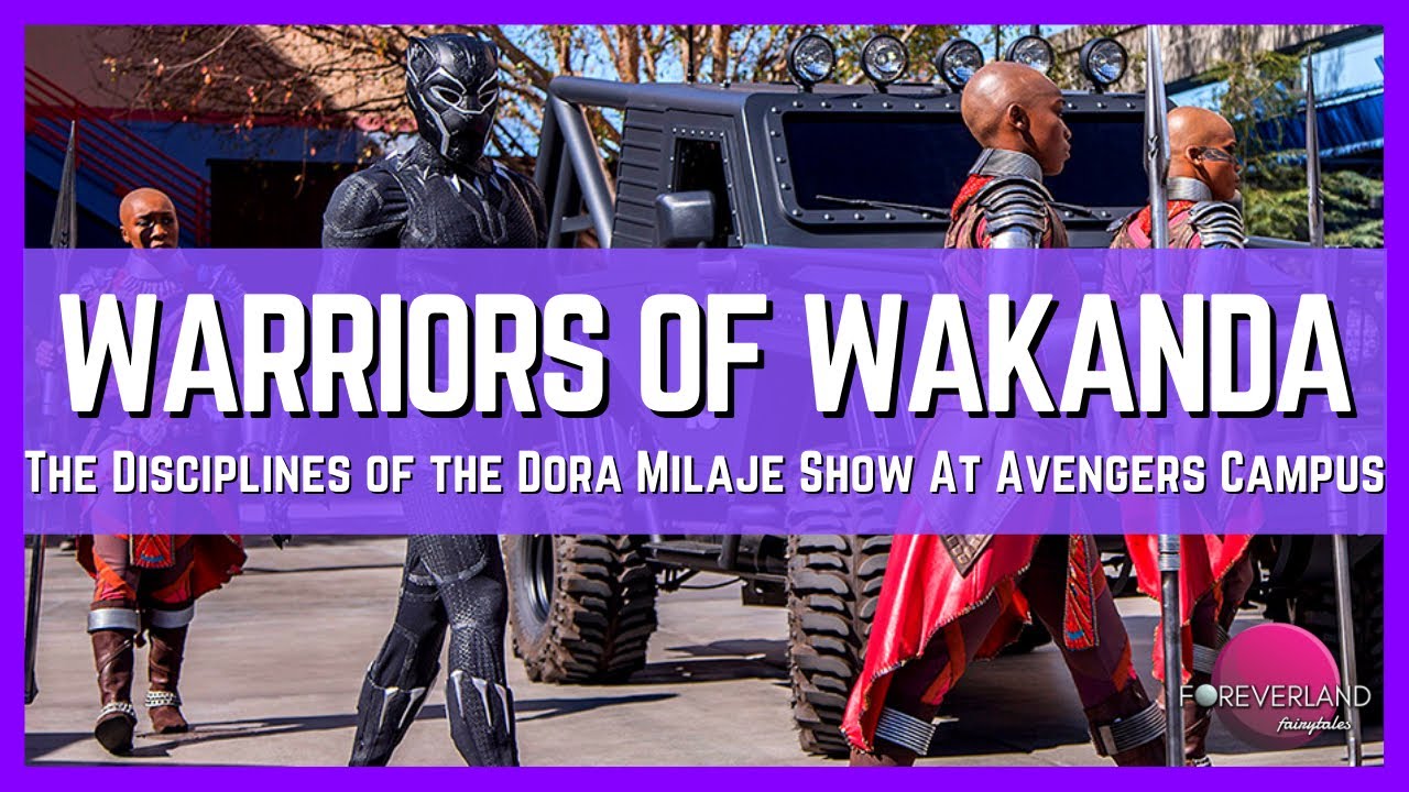 Warriors of Wakanda - The Disciplines of the Dora Milaje Show at ...