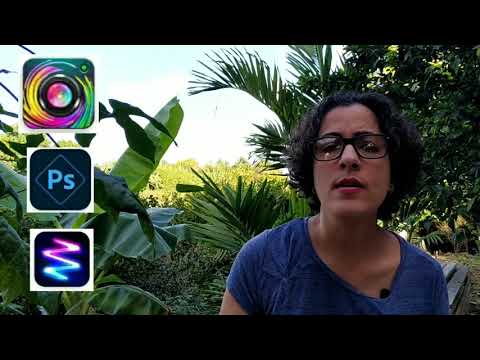 Defensa FATLA... Leticia Alonso Pérez