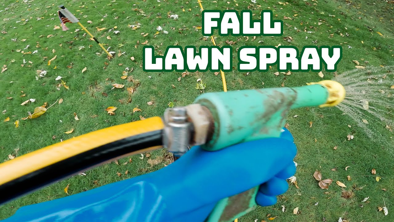 Fall Liquid Lawn Fertilizers and Spraying Lawns with Leaf cover - YouTube