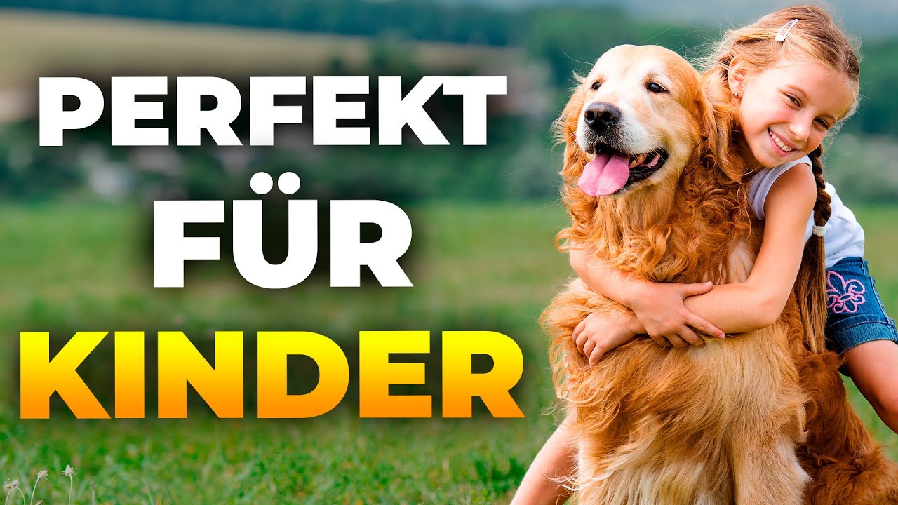 Kinderfreundliche Hunderassen: Perfekt für die Familie - YouTube