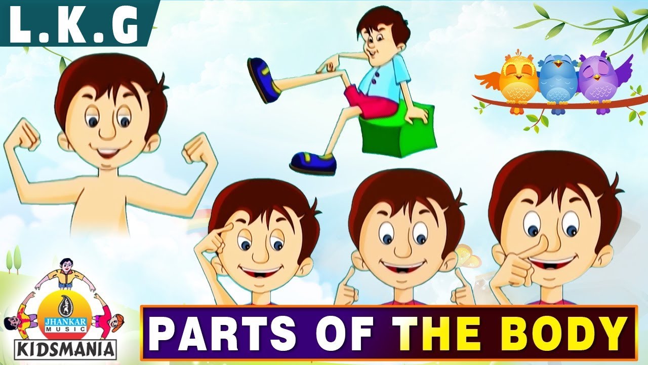 LKG Parts Of The Body Educational Videos For Kids Teach Your Kids lkg-parts-of-the-body-educational-videos-for-kids-teach-your-kids