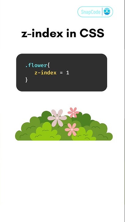 Z Index In Css Coding Basics๐ Css Webdevelopment Webdesign Html Shorts Programming