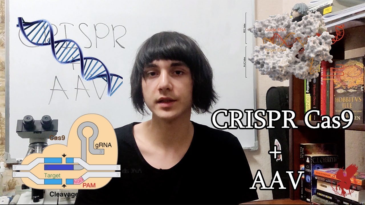 CRISPR Genome Editing + AAV - Introduction To CRISPR - YouTube
