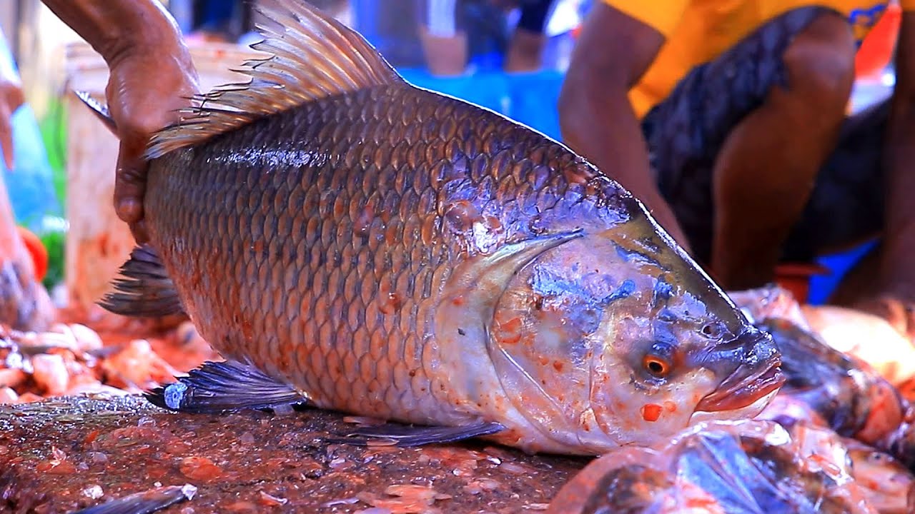 Incredible Big Catla Fish Cutting Skills In Fish Market | 16kg Catla ...