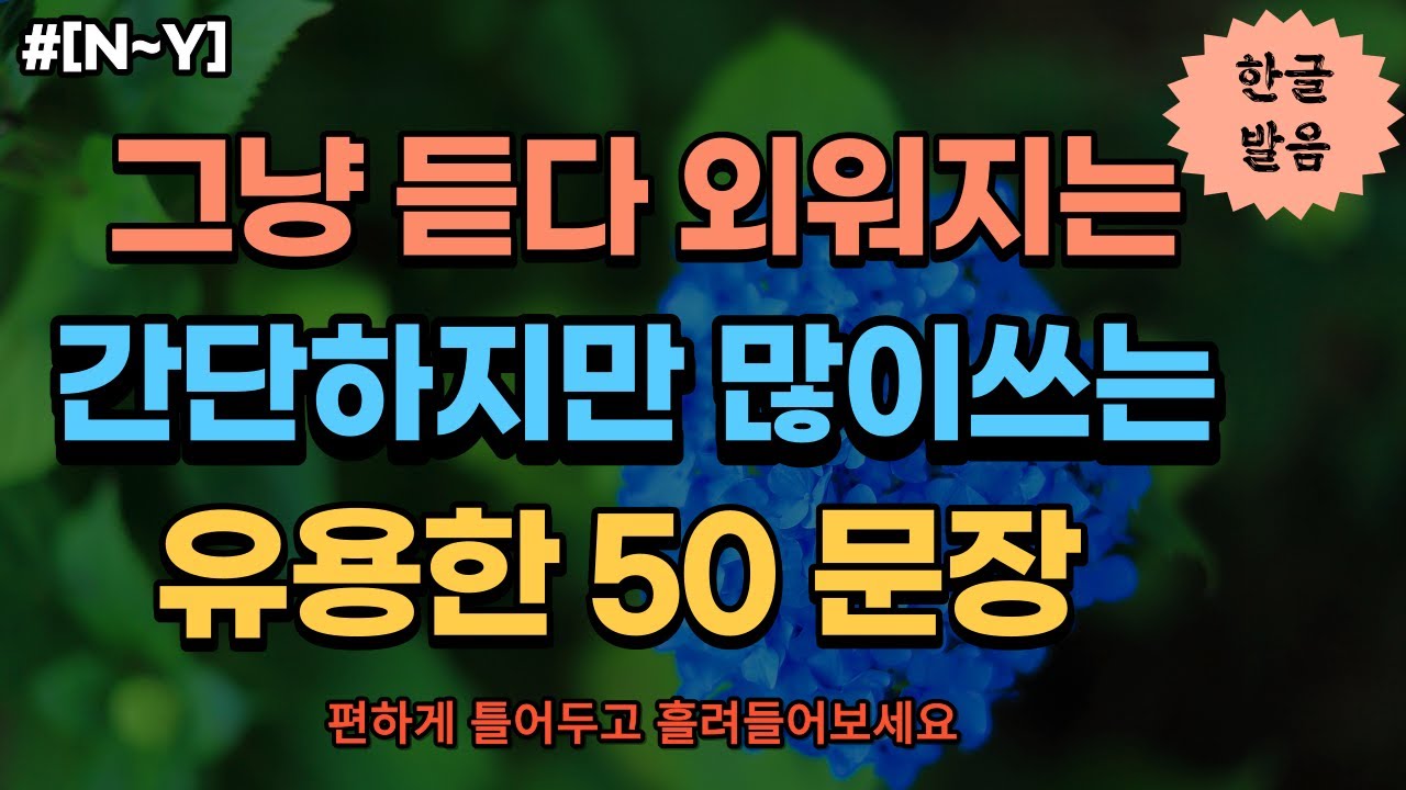 초보영어 편하게 듣다가 그냥 외워지는 아주 간결하면서 유용하게 쓰이는 기초영어회화 50문장n~y 초보영어회화 키위 처럼