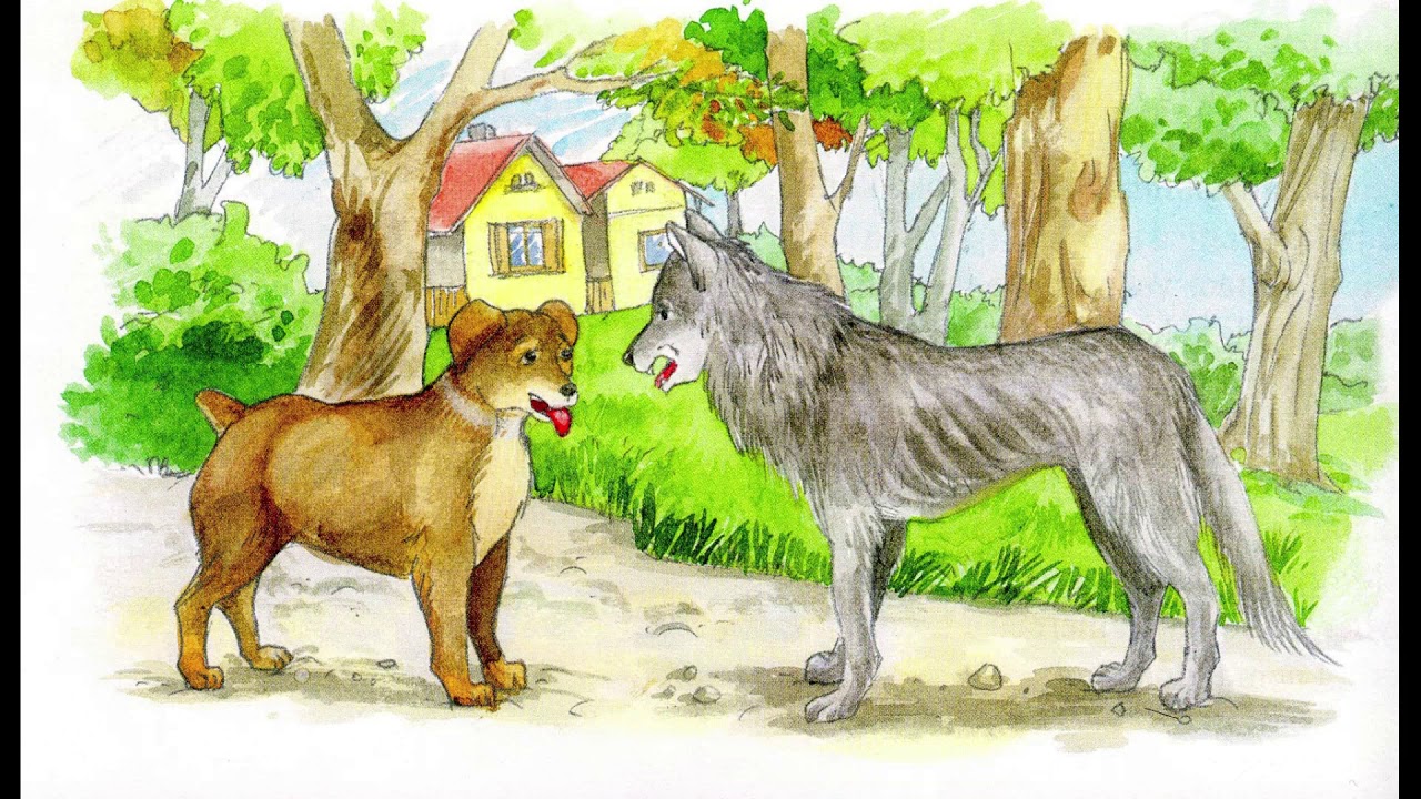 Lev Tolsztoj: A farkas és a kutya - Prohászka Fanni, Miskolci Nemzeti ...