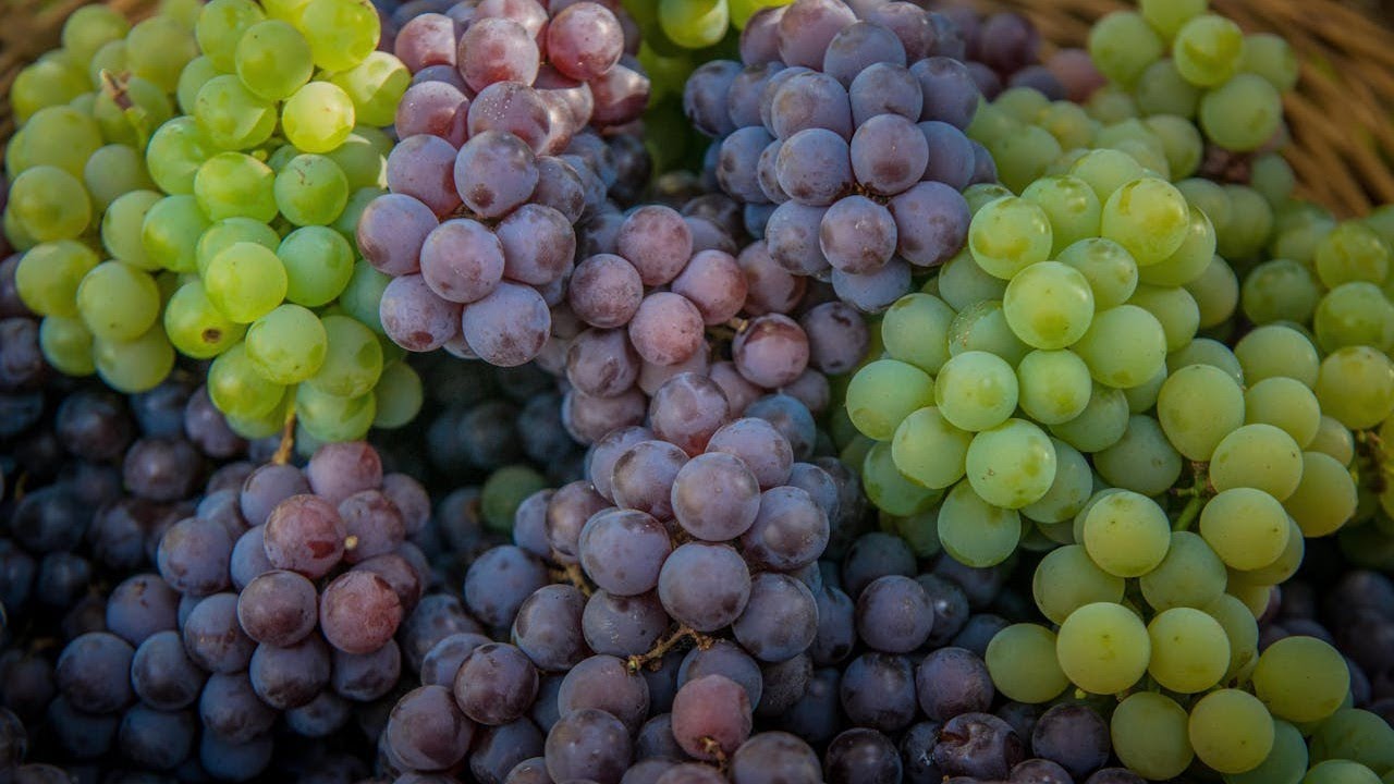 how to make angurchaat|खट्टे अंगूर की रेसिपी|angur chaat |sour grapes ...