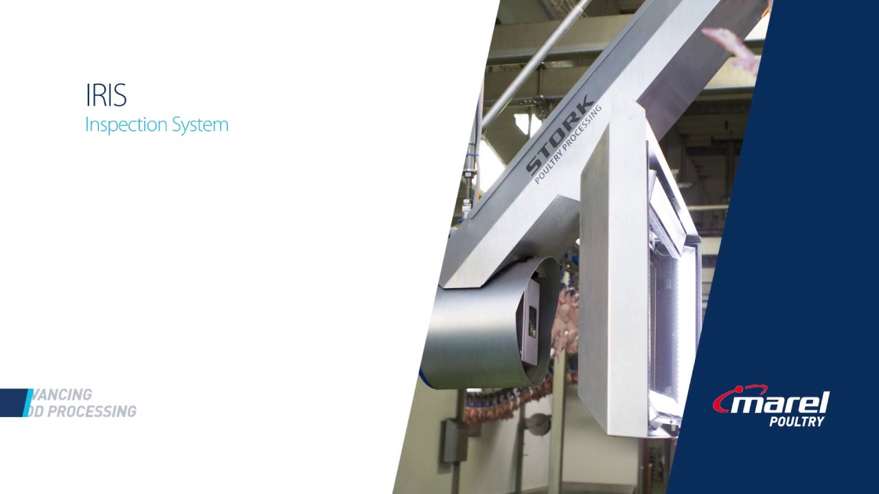 IRIS Vision Grading System YouTube iris-vision-grading-system-youtube