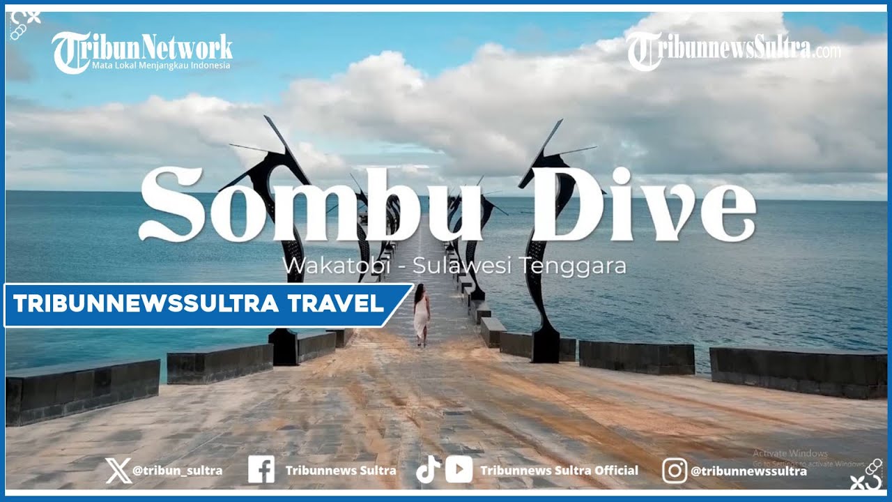 Nikmati Indahnya Sombu Dive Spot Diving di Wakatobi Sulawesi Tenggara ...