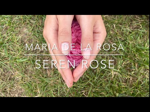 Maria de la Rosa- Seren Rose Official music video