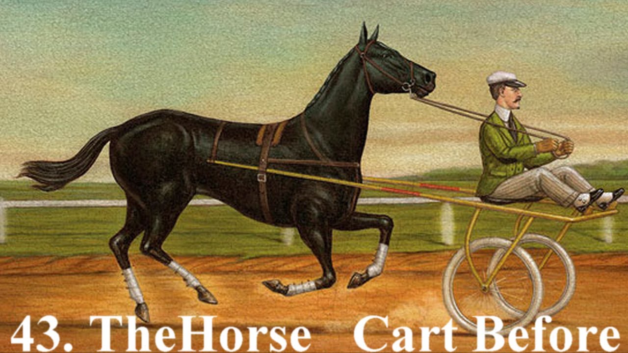 43. Cart Before The Horse - YouTube