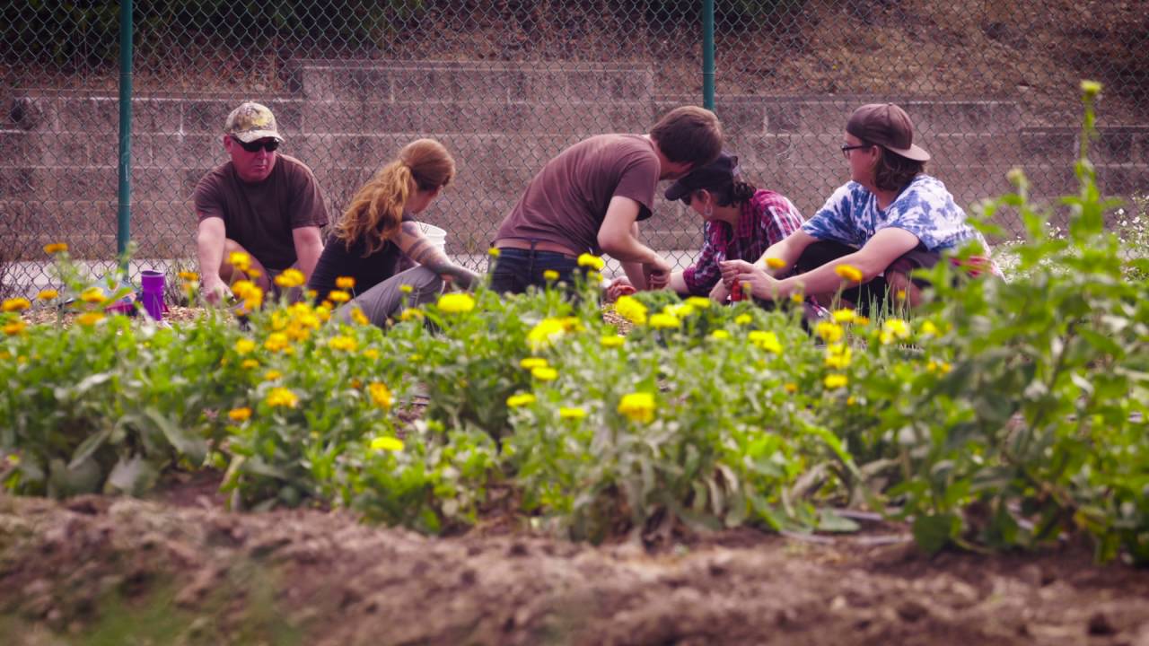 Cabrillo College Horticulture Program - YouTube