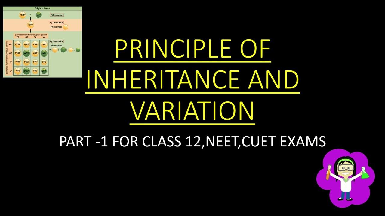 PRICIPLE OF INHERITANCE AND VARIATION PART 1 FOR CLASS 12, BOARDS, NEET - YouTube