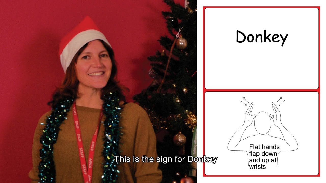 Learn the Makaton sign for Donkey - YouTube