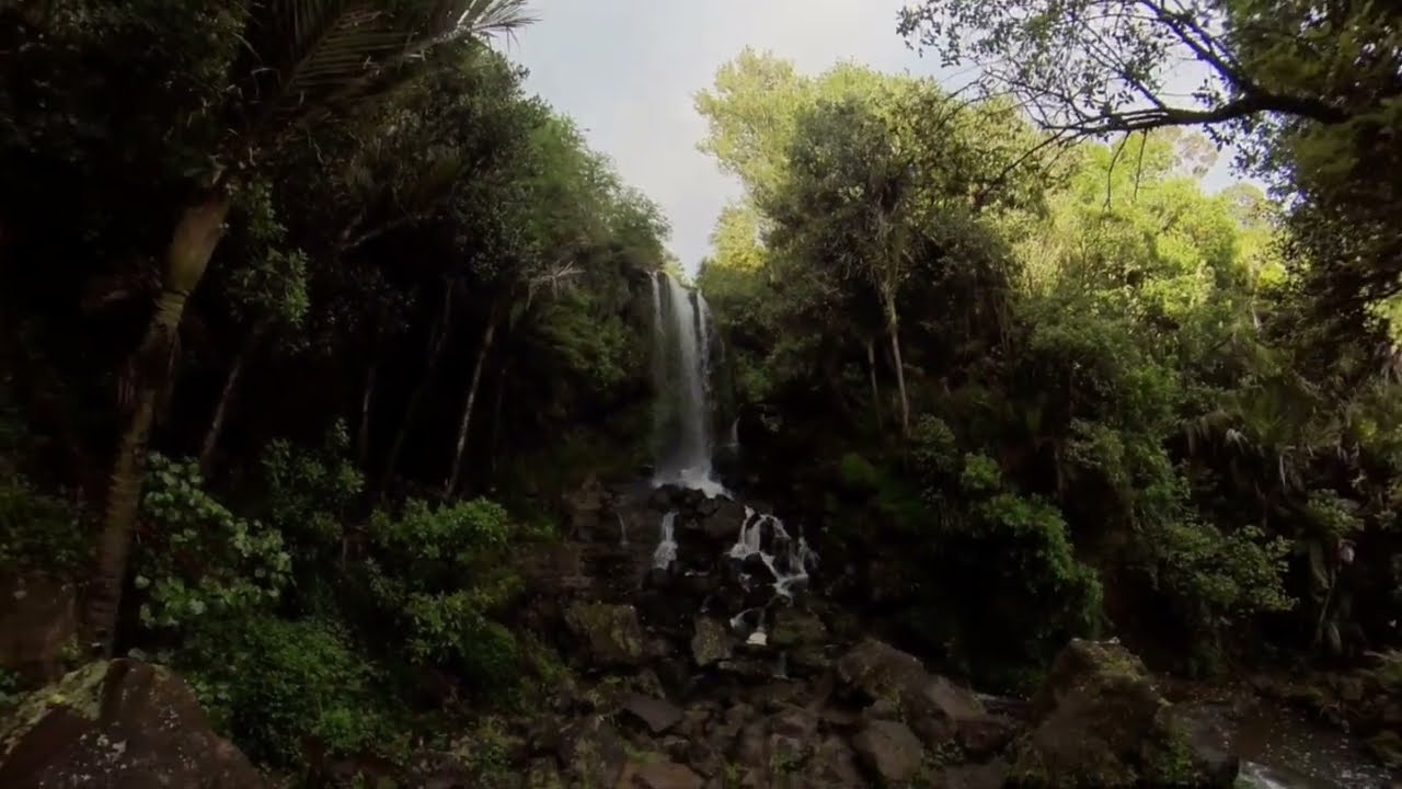 Harker Reserve & Vivian Falls, Onewhero, Waikato, New Zealand - YouTube