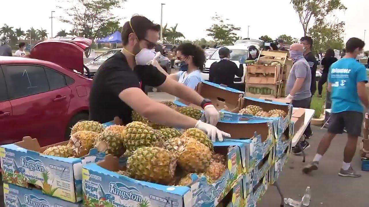 People line up early for food distributions in Miami-Dade - YouTube