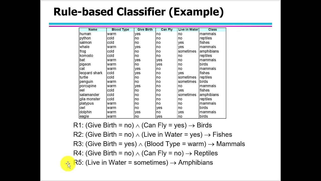 규칙 기반 분류기 (Rule-based Classifier) - YouTube