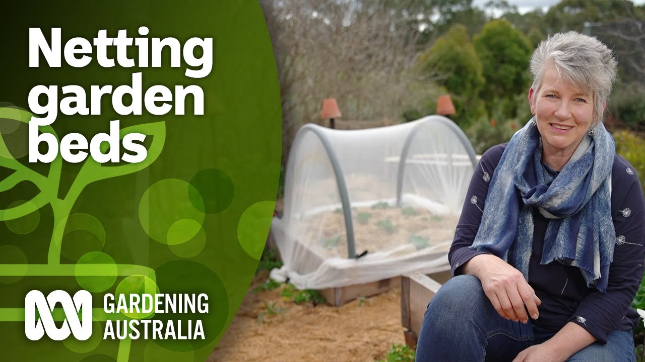 How to use netting to protect your beds from pests | DIY Garden ...
