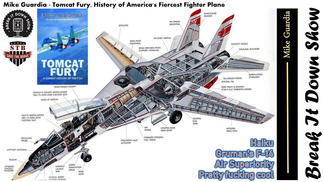 Mike Guardia - Tomcat Fury, History of America's Fiercest Fighter Plane ...
