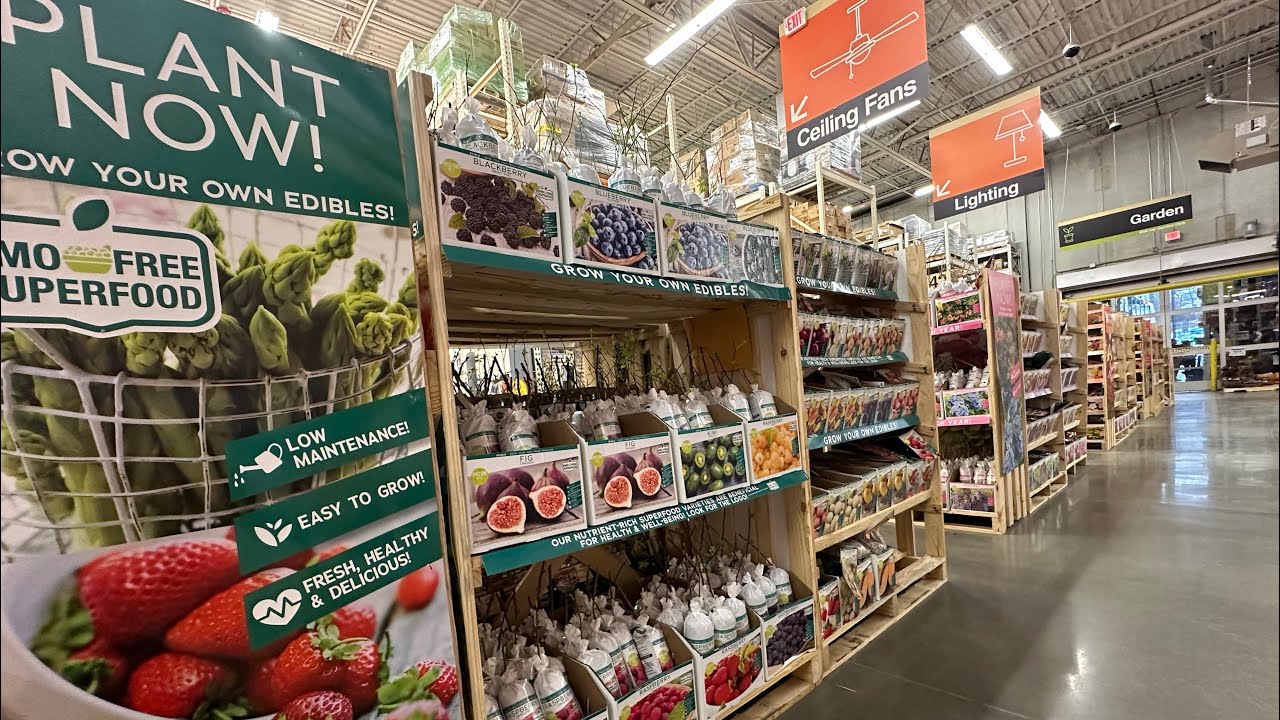 HOME DEPOT NEW 2024 ARRIVALS🤩PLANT NOW EDIBLES, BARE ROOTS, PERENNIALS ...