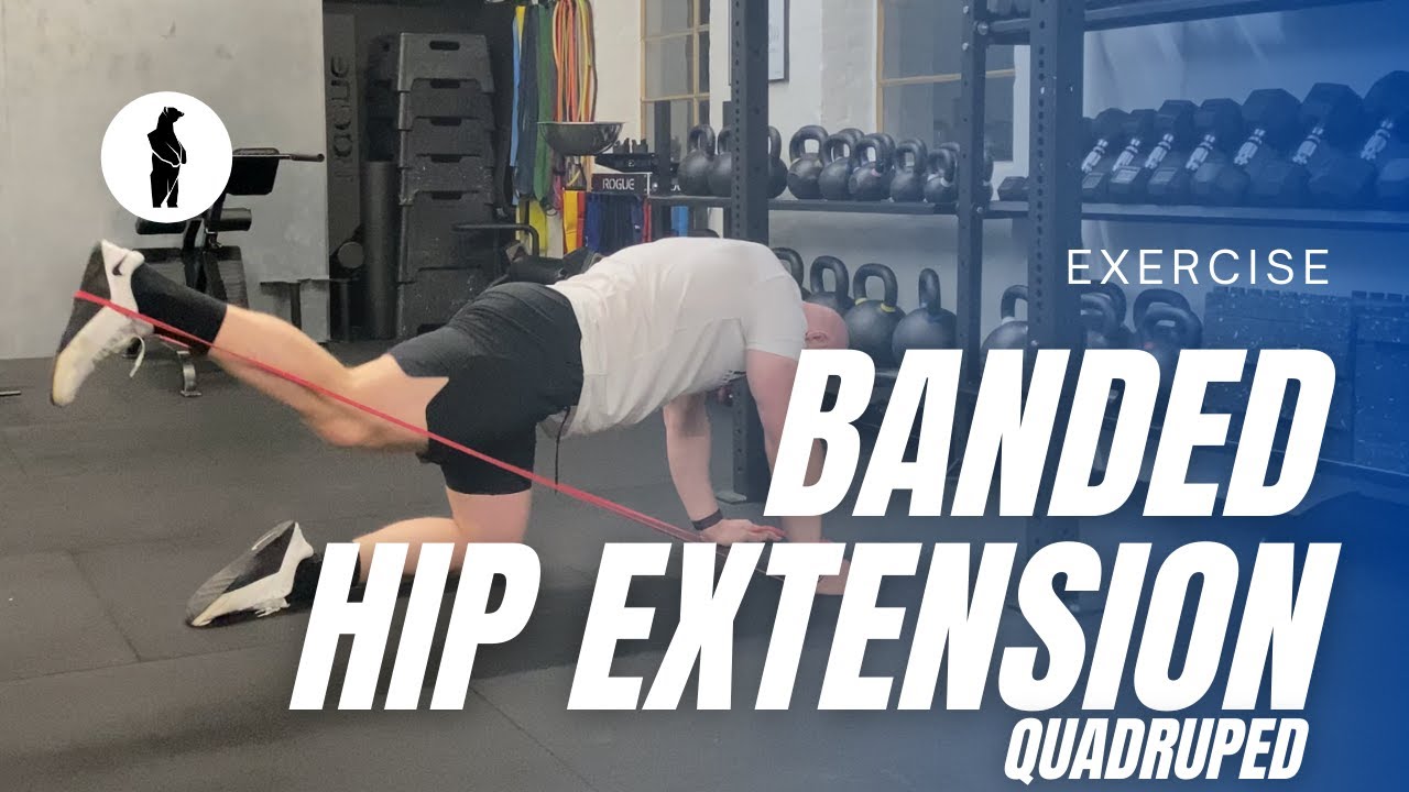 Banded Hip Extension (Quadruped) - YouTube