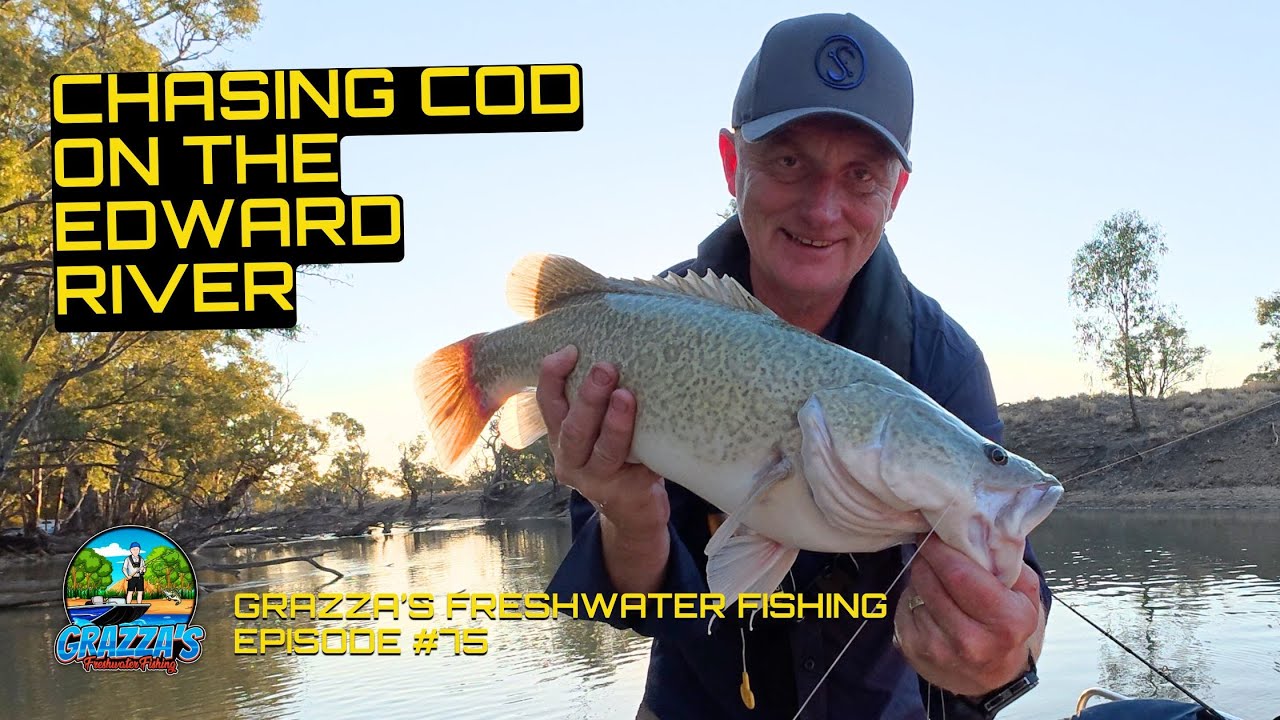 Edward River Murray Cod Fishing at Moulamien - YouTube