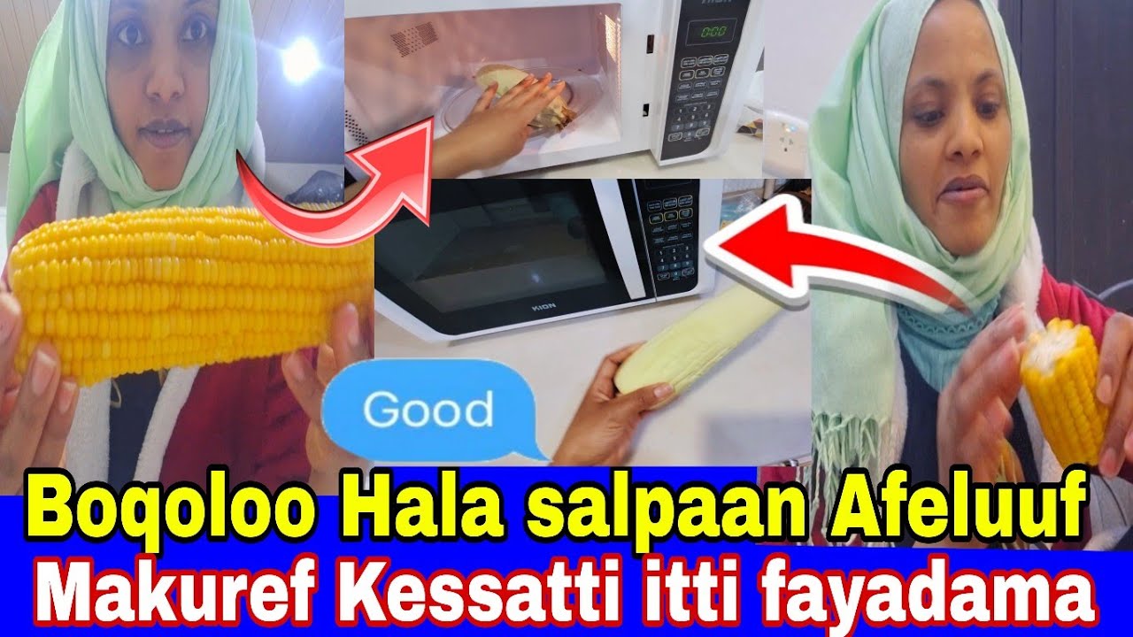 🛑👌Boqolloo hala salpaa ta'een Makureef kesatii Afelee ittii fayyadamaa ...