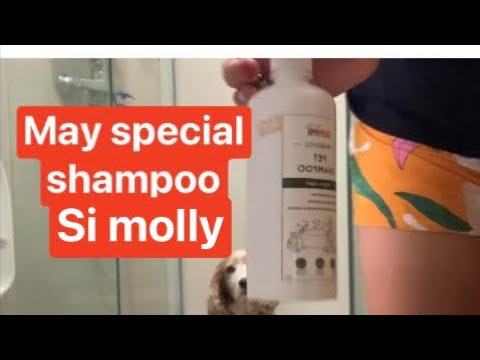 Magpaligo ng Aso may special shampoo @RovelynAsuncionvlog - YouTube