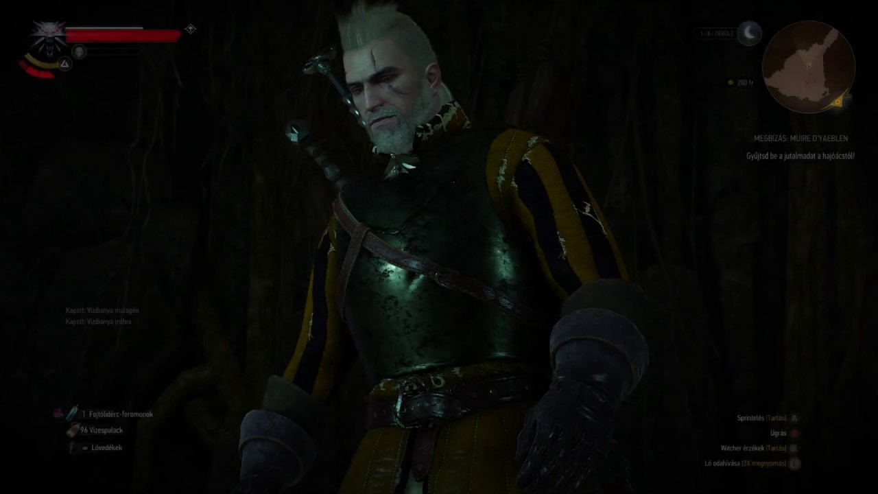 Witcher 3: Abaya the Water Hag Boss Fight (No commentary, Hard Mode ...