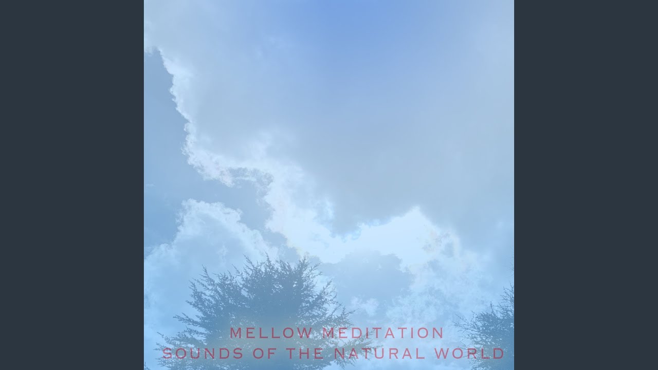 The Wind, The Wave, The Calm End to the Day - YouTube